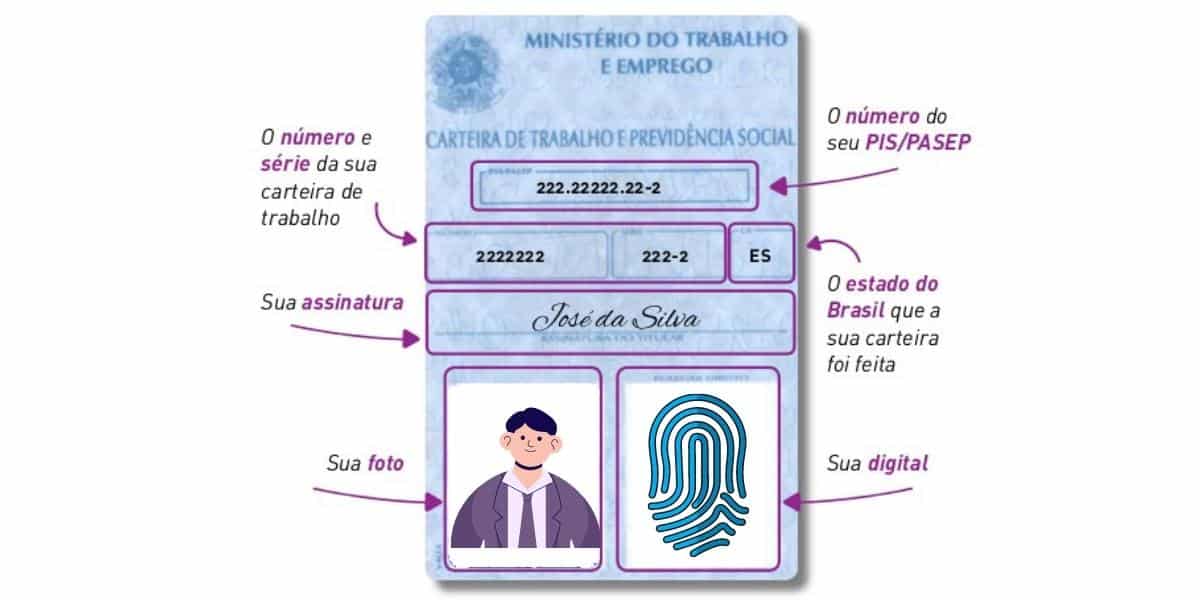 NIS: o que é, como cadastrar e qual a diferença entre NIS/PIS - BBD